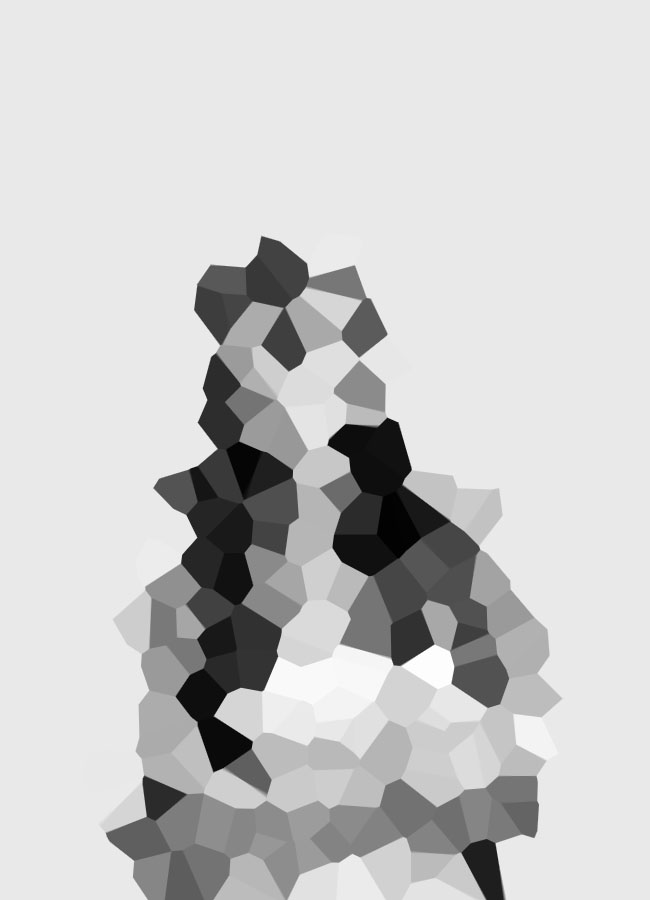 Our Team - Rachel Noto