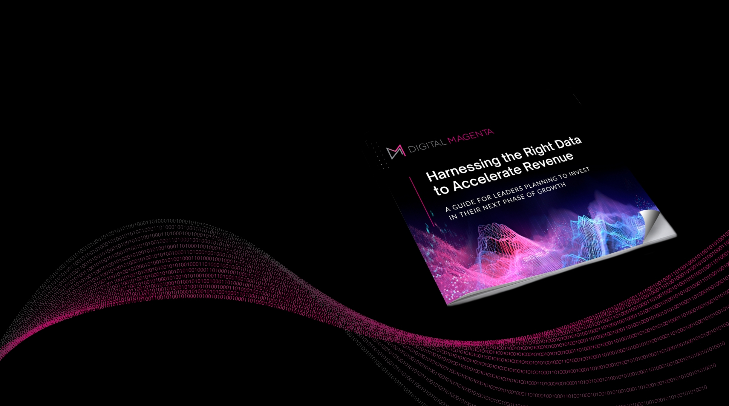 Project DM - Rachel Noto